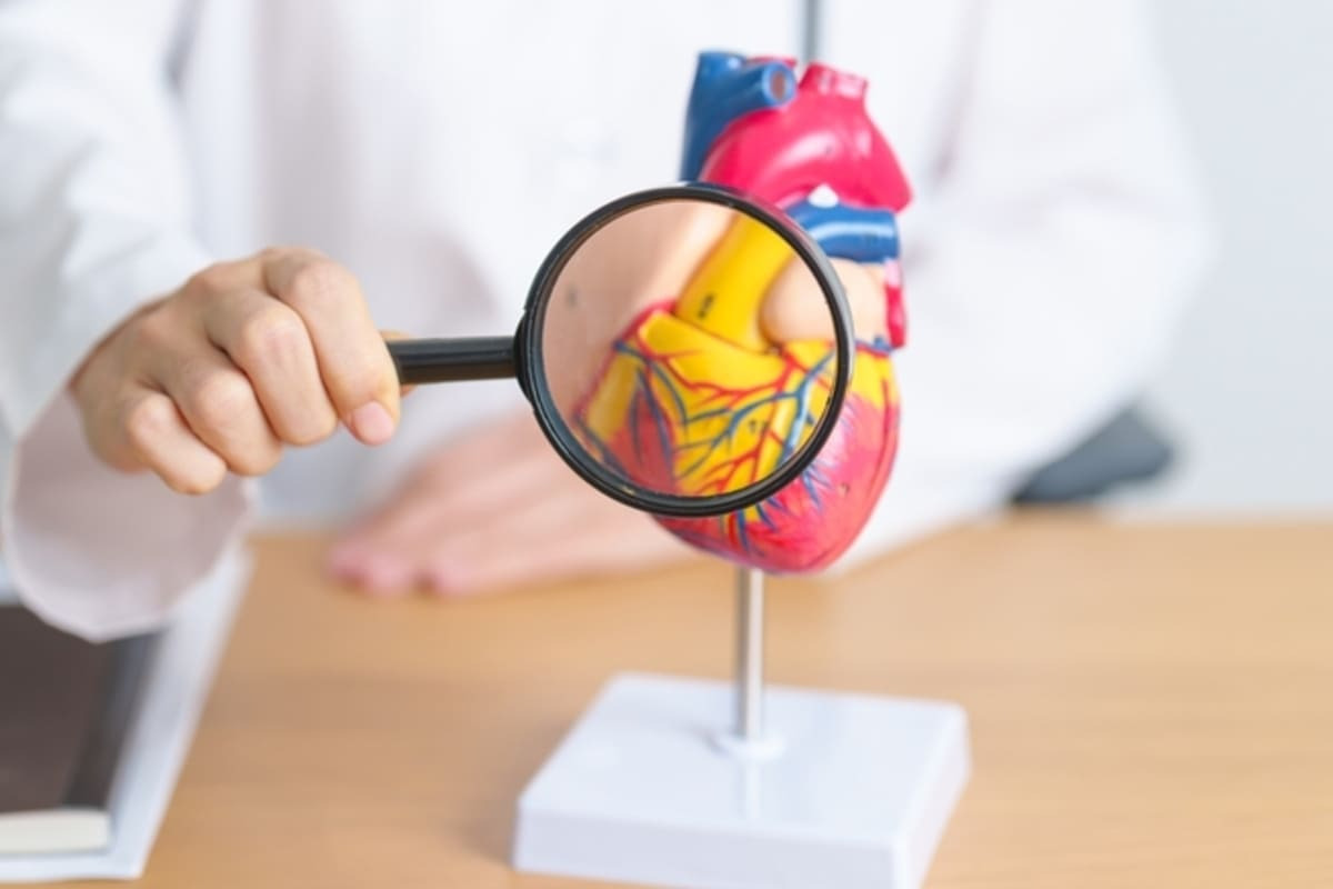 Ectopia cordis: cauze, simptome, tratament | Dr. Max Farmacie